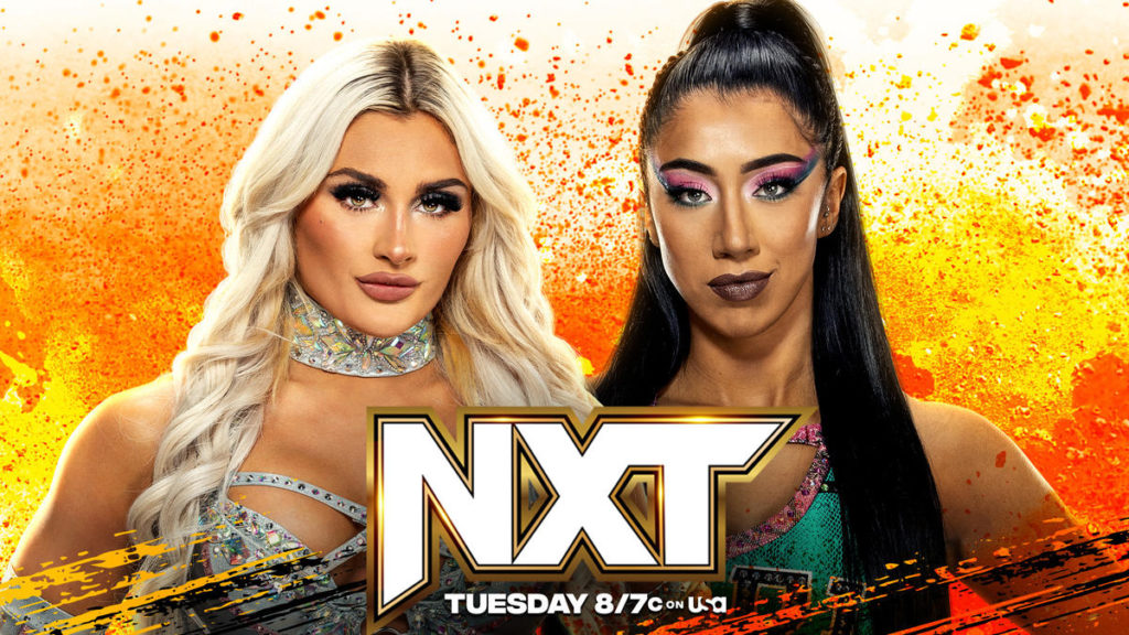 Two Qualifying Matches Set For NXT Women's Title Ladder Match - Diva Dirt