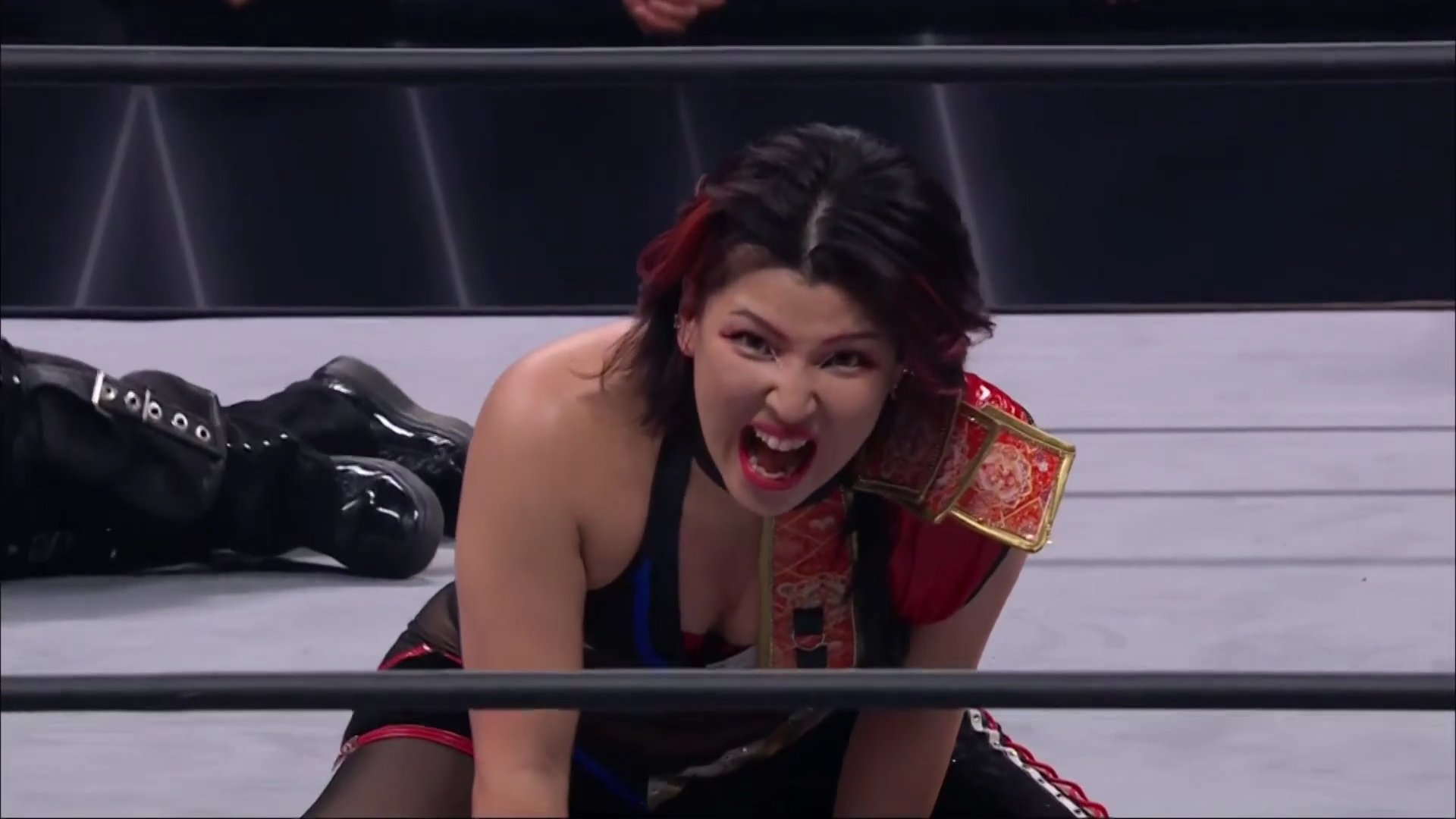 Hikaru Shida Earns AEW Women’s Title Shot - Diva Dirt