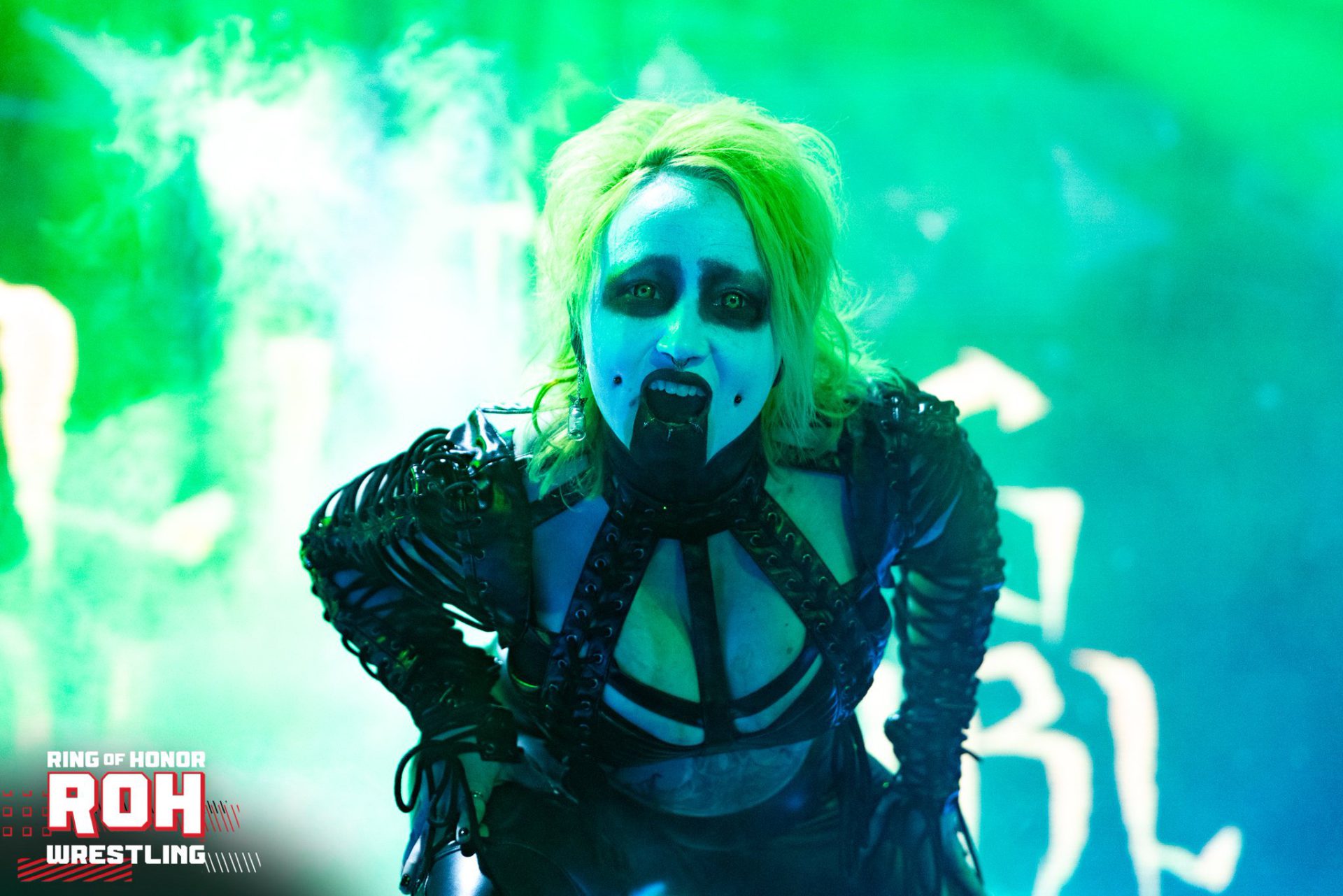 Eight Woman Tag Team Bout On ROH Led To Abadon Appearance | Diva Dirt
