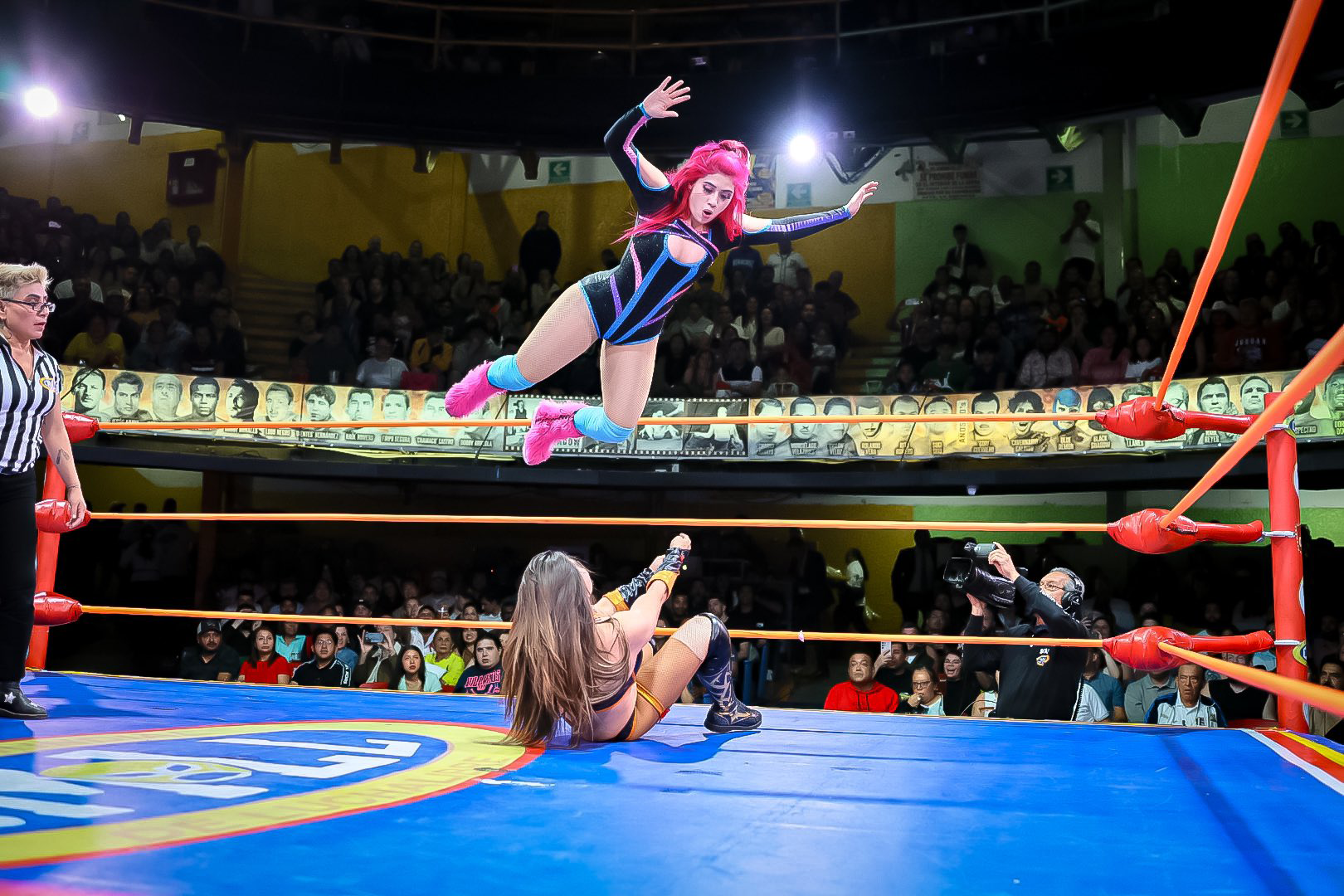 CMLL Weekend Results; Zeuxis and Reyna Isis Victorious In Tag Team ...